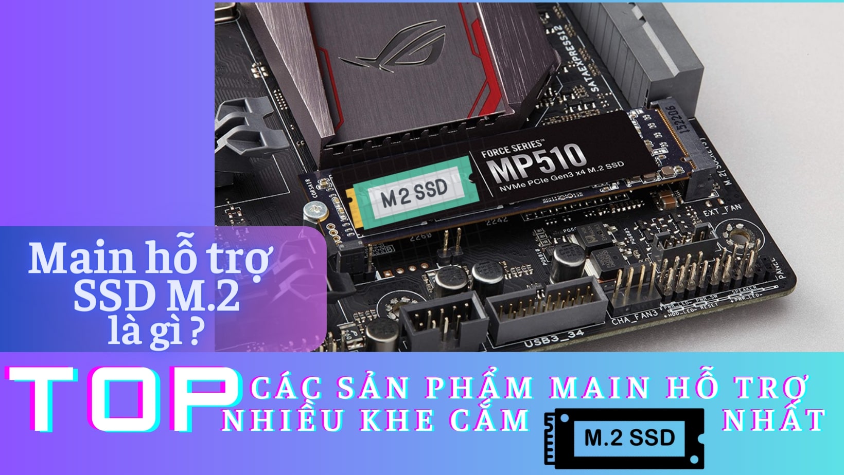 tặng | Bài viết tặng