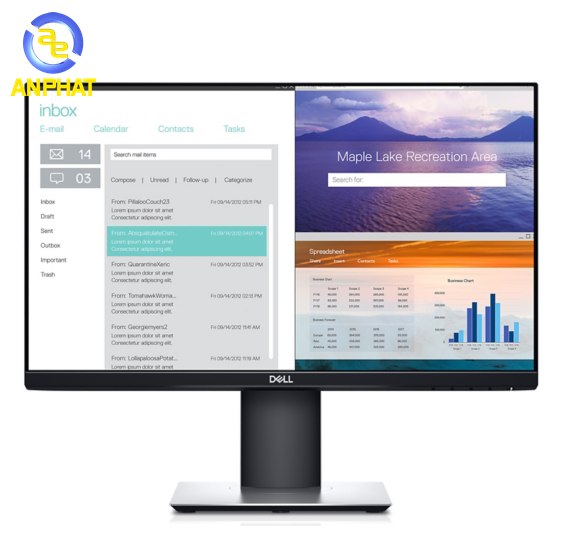 Màn hình máy tính Dell P2219H 21.5 inch FHD 60Hz